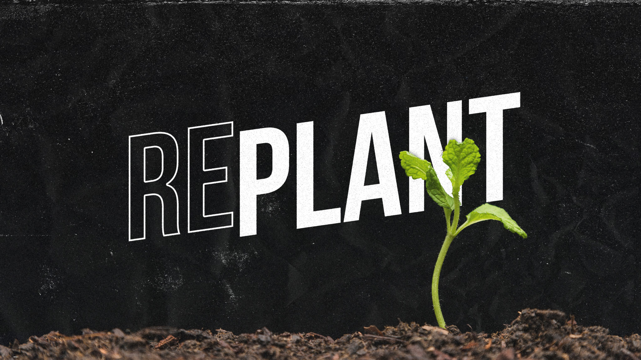 Replant - Salem Alliance Church