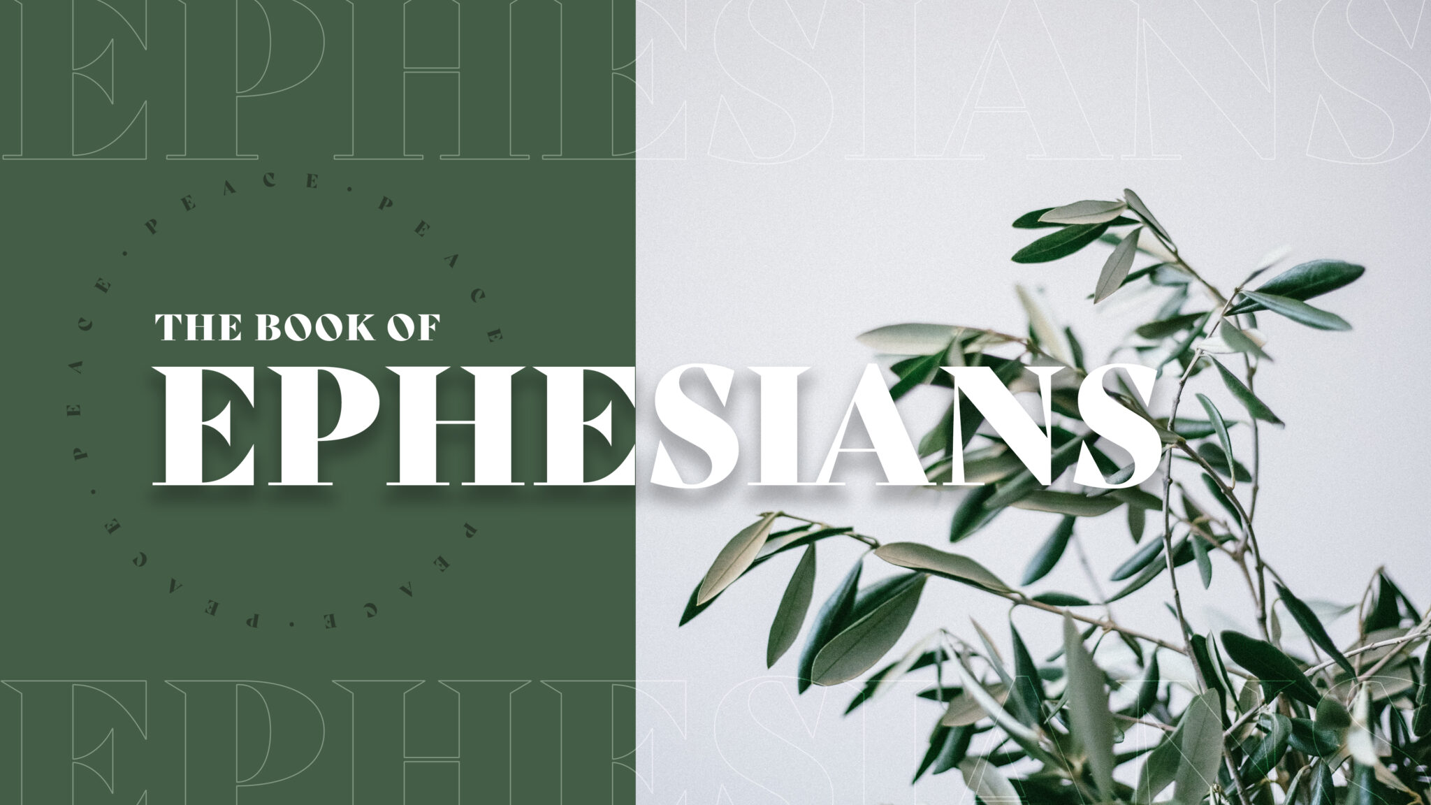 Study Guides - Salem Alliance Church